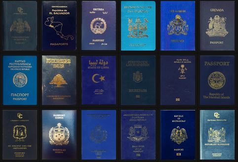 Mystery behind the colour of Passport is solved | D5 Channel English